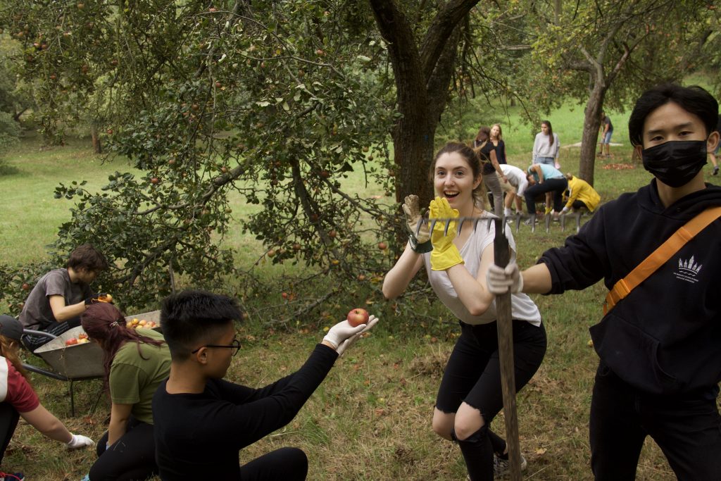 Principled | The English College in Prague